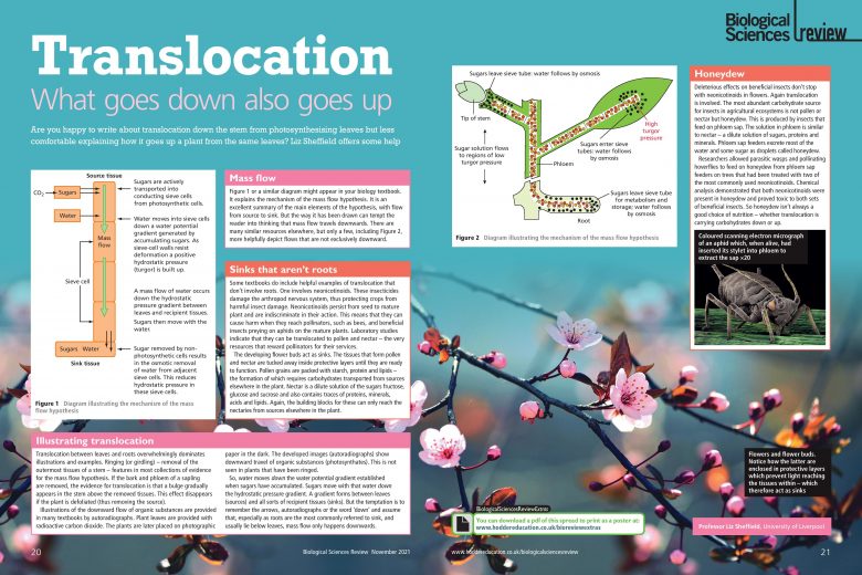 Biological Sciences Review - Hachette Learning Magazines